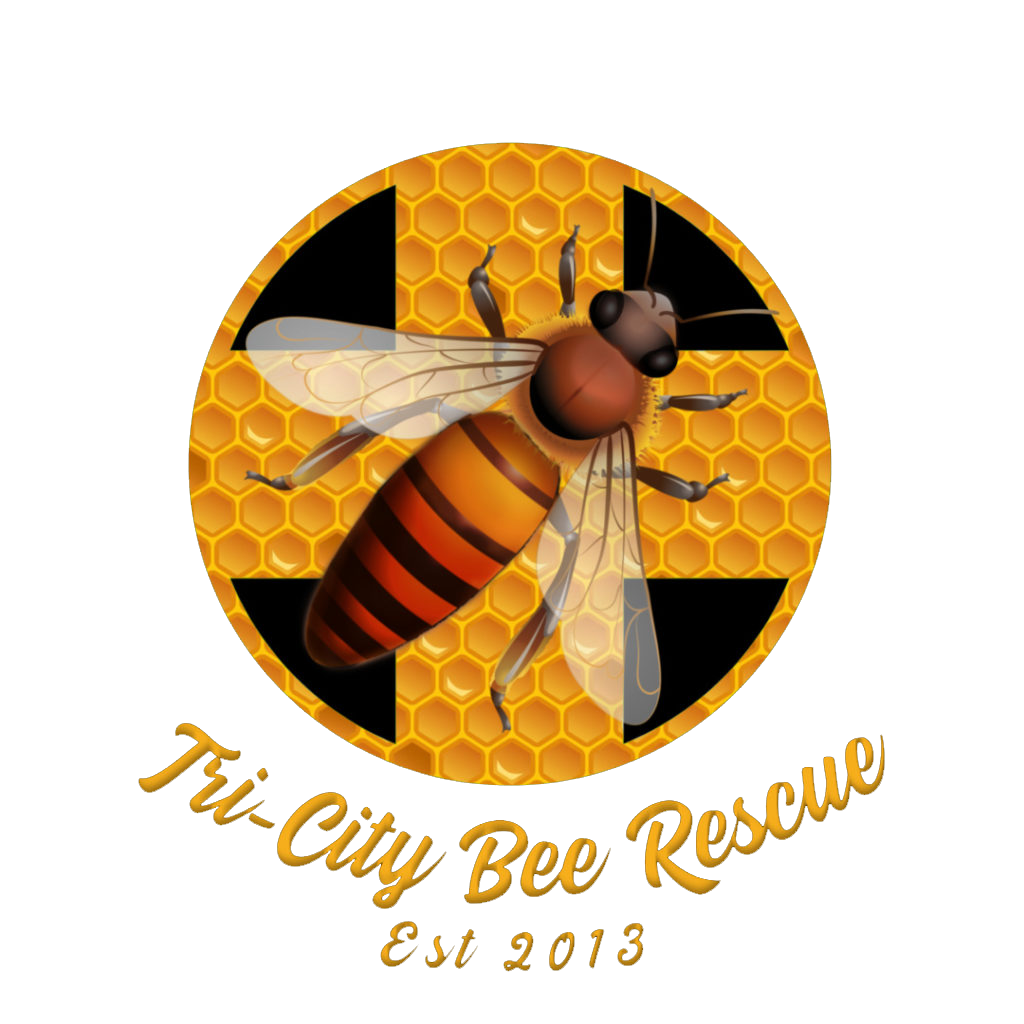 Home | Tri-City Bee Rescue
